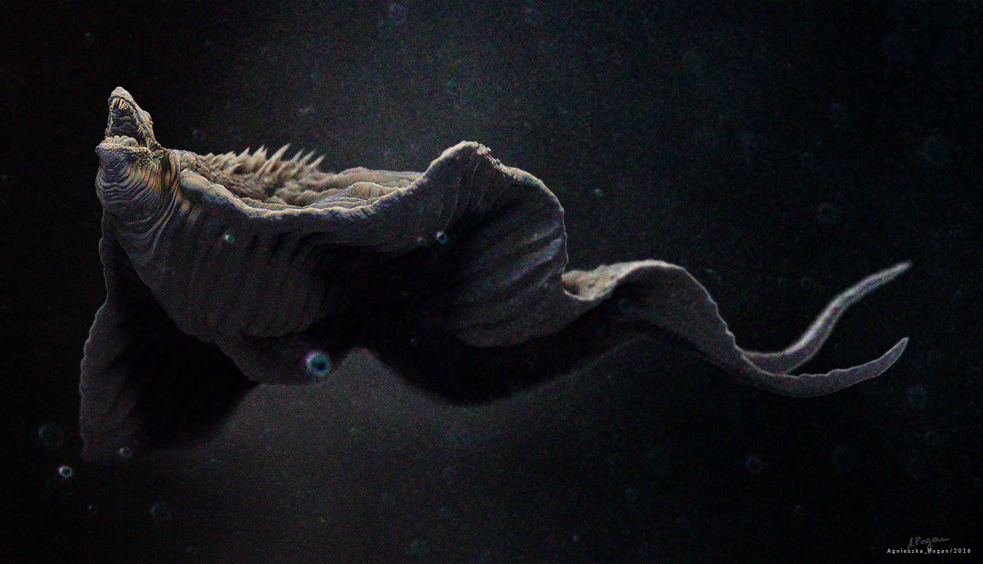 ArtStation - Batoidea