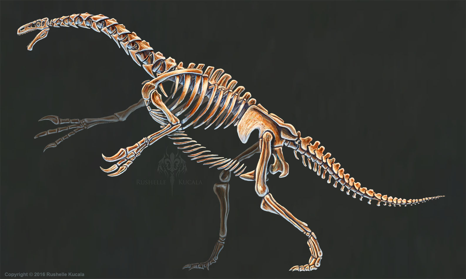 ArtStation - Nothronychus Graffami Skeletal Study (No Labels)