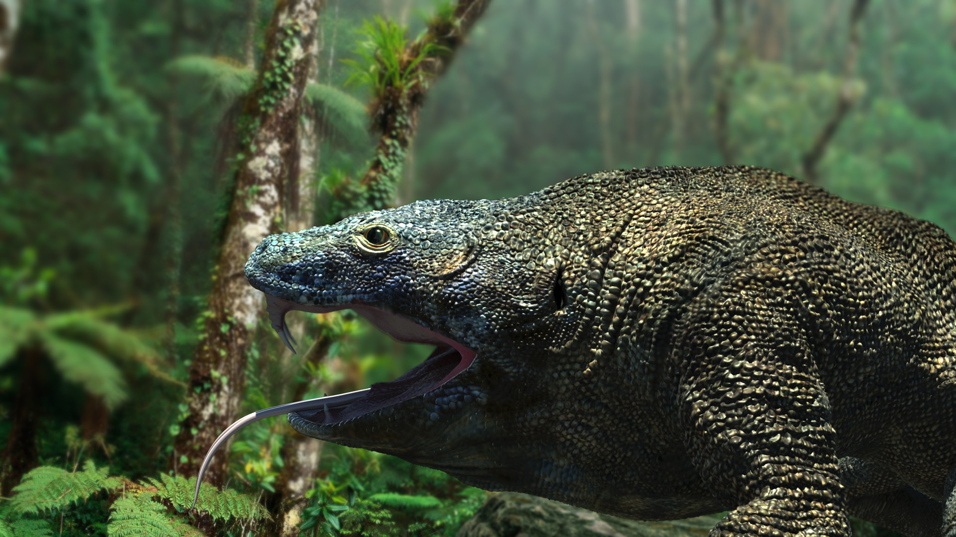 JanakiRam( RAMARAO K) - komodo dragon