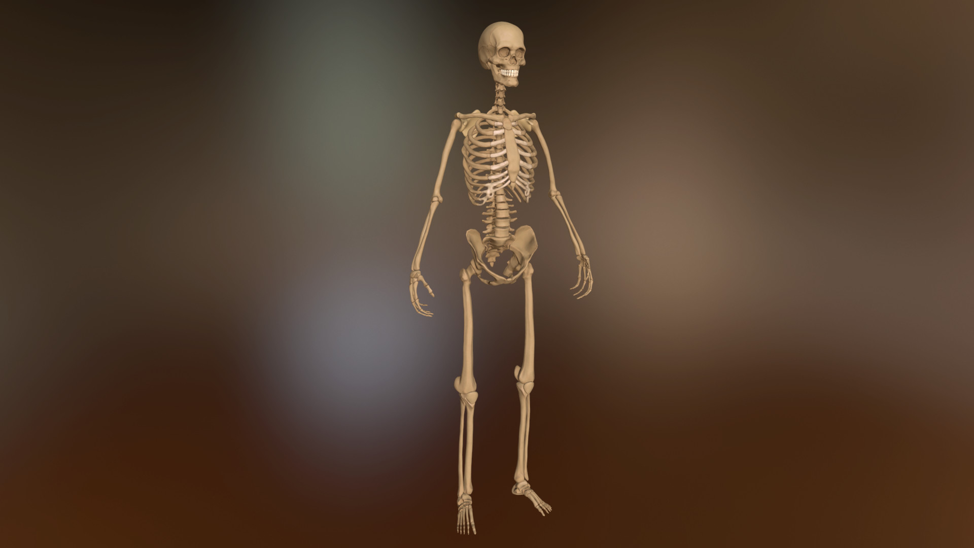 Dylan Rinker - Ecorche