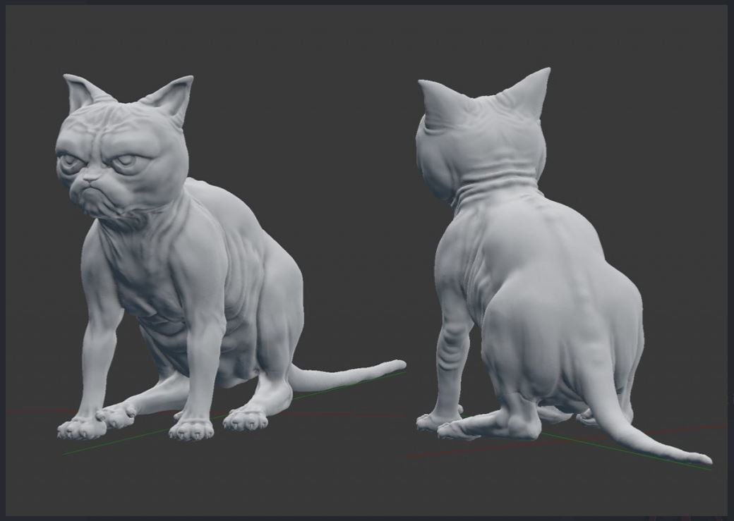 ArtStation - Stylized Grumpy Cat