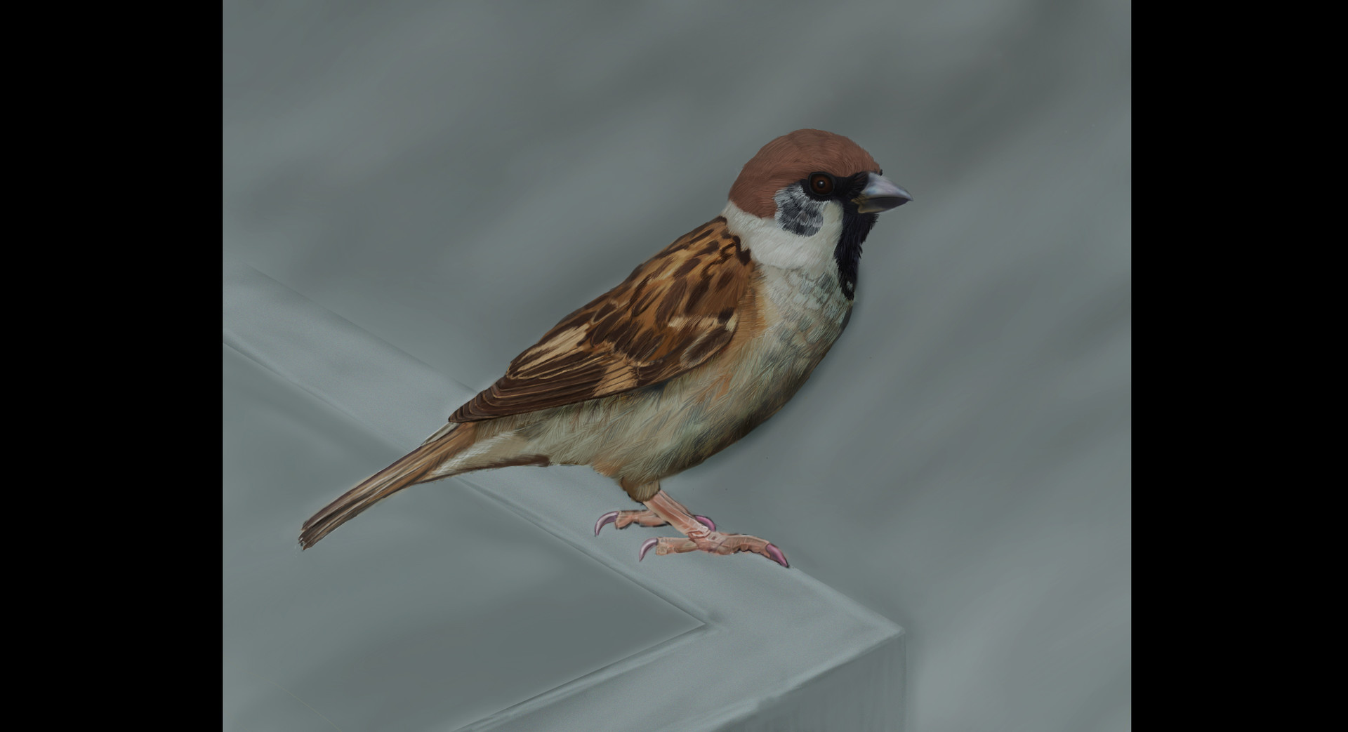 ArtStation - Sparrow