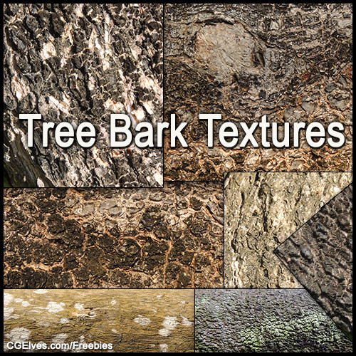 Camille Kleinman - FREE High Resolution Tree Bark Textures Pack