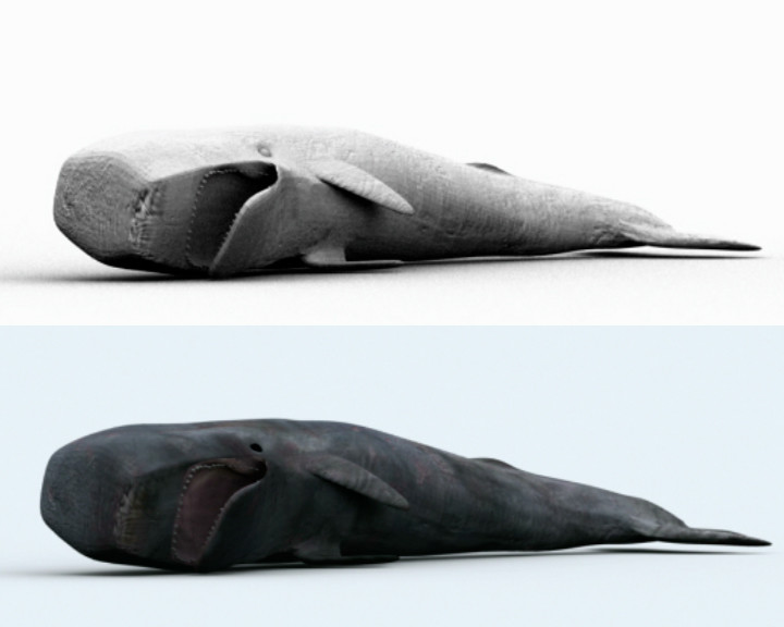 ArtStation - Dead spam whale