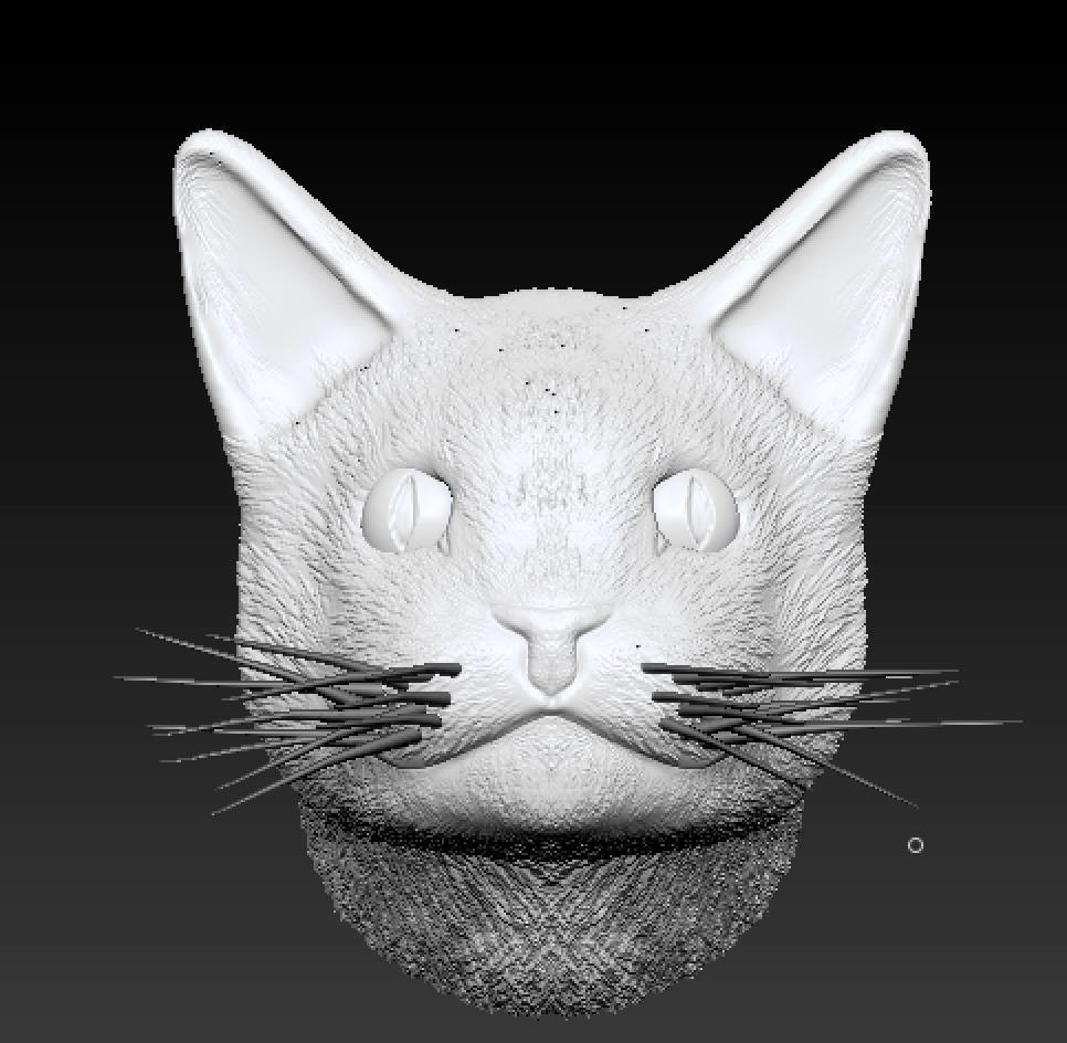 ArtStation - Cat-ZBrush