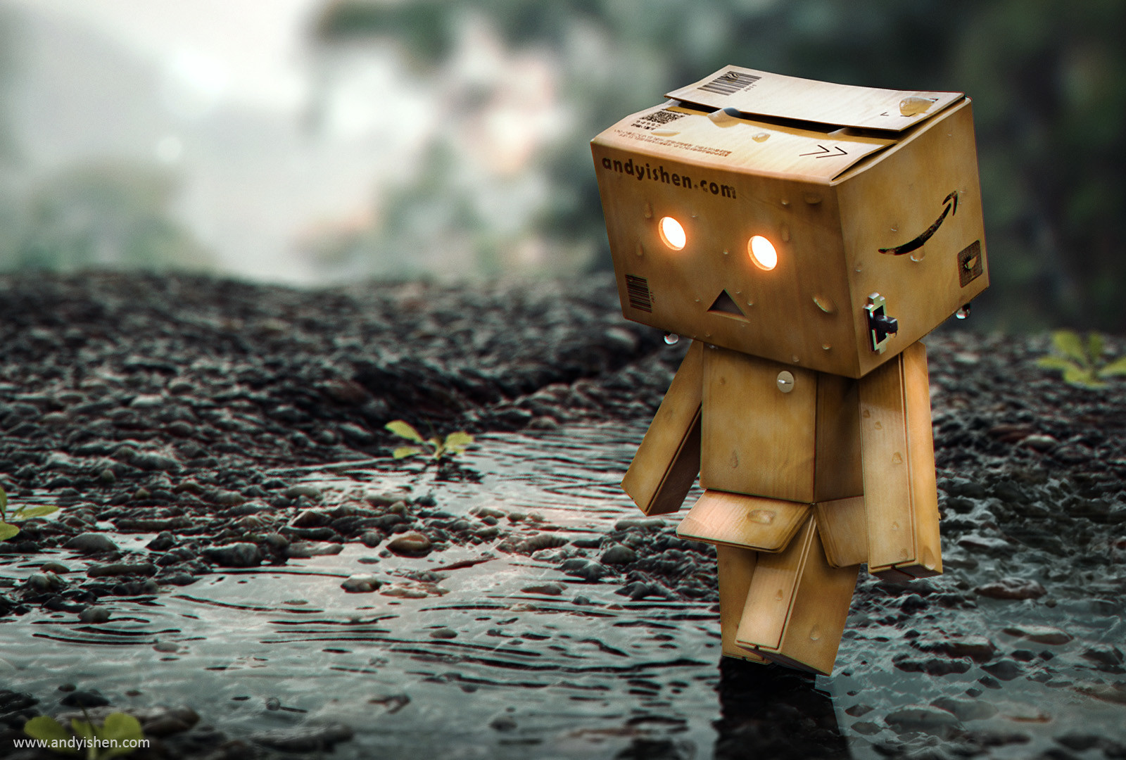 Danbo Wallpaper Rain