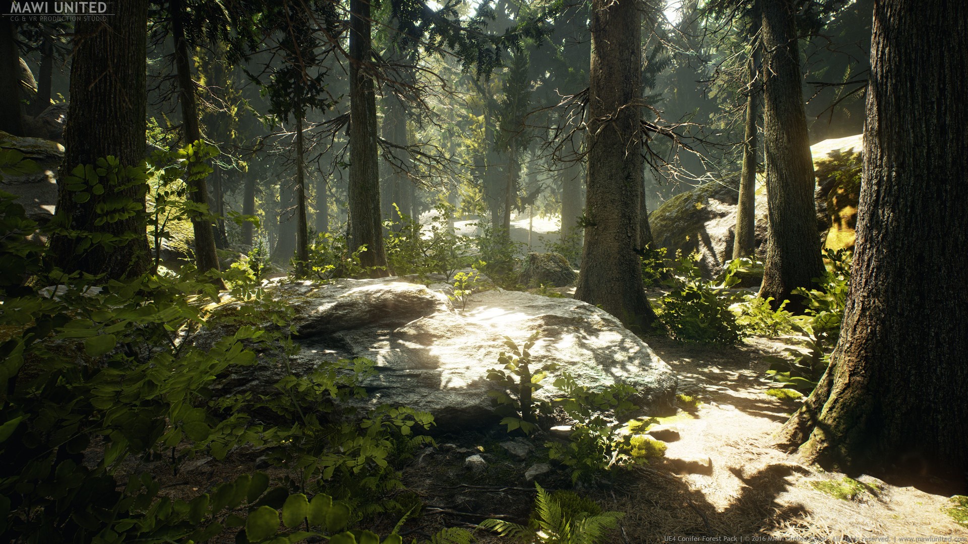MAWI United - UE4 Conifer Forest V2