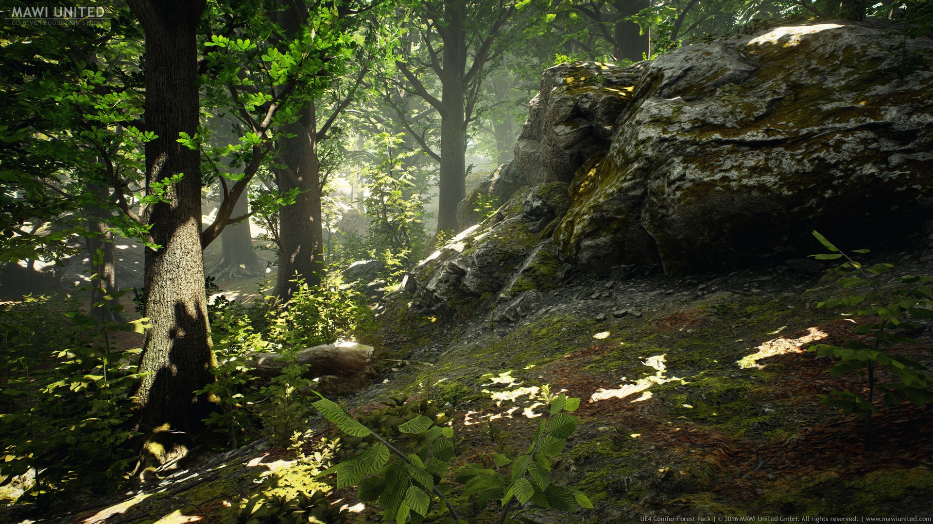 MAWI United - UE4 Broadleaf Forest V2