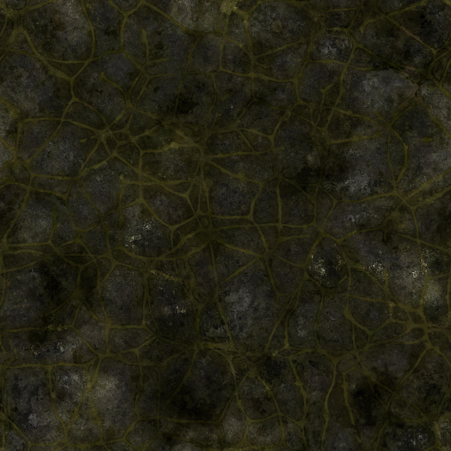 Thomas Stewart - Rocky Ground Texture