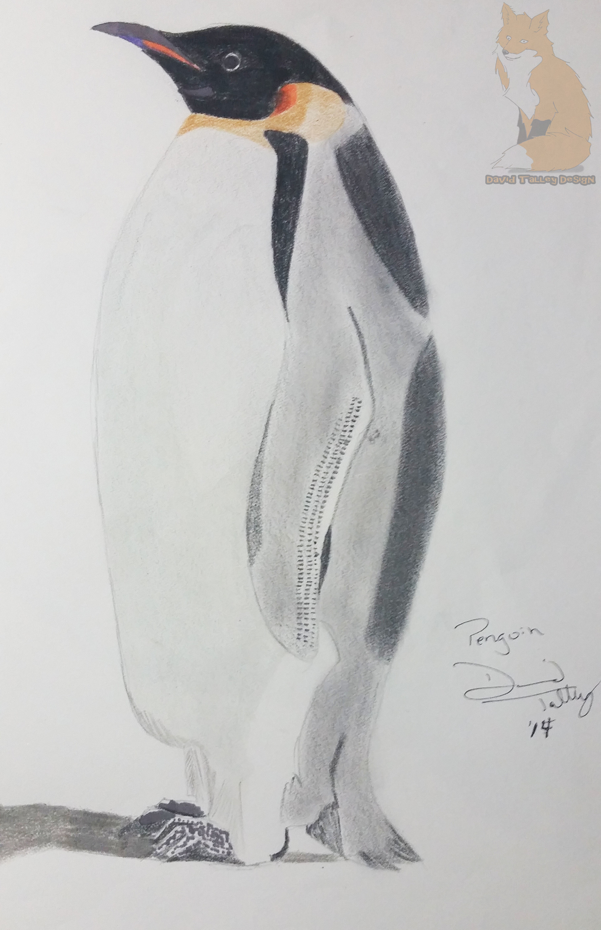 ArtStation - Penguin