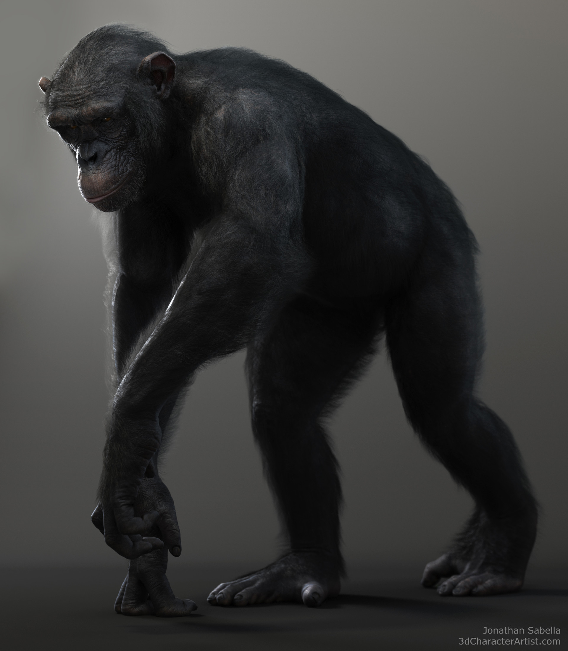 ArtStation - Chimpanzee Study