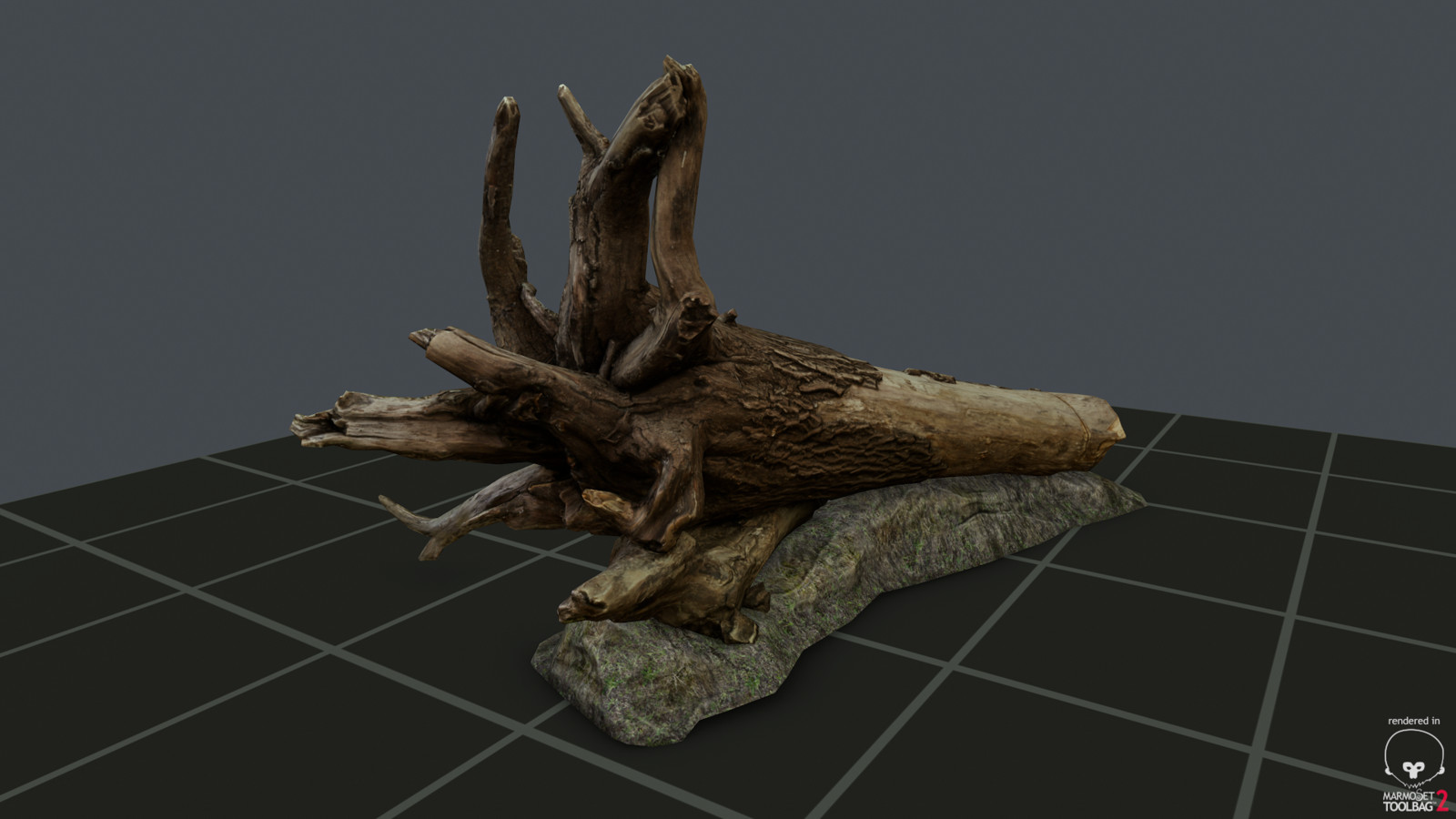 Denis Setevoy - Dead tree. Scan photogrammetry