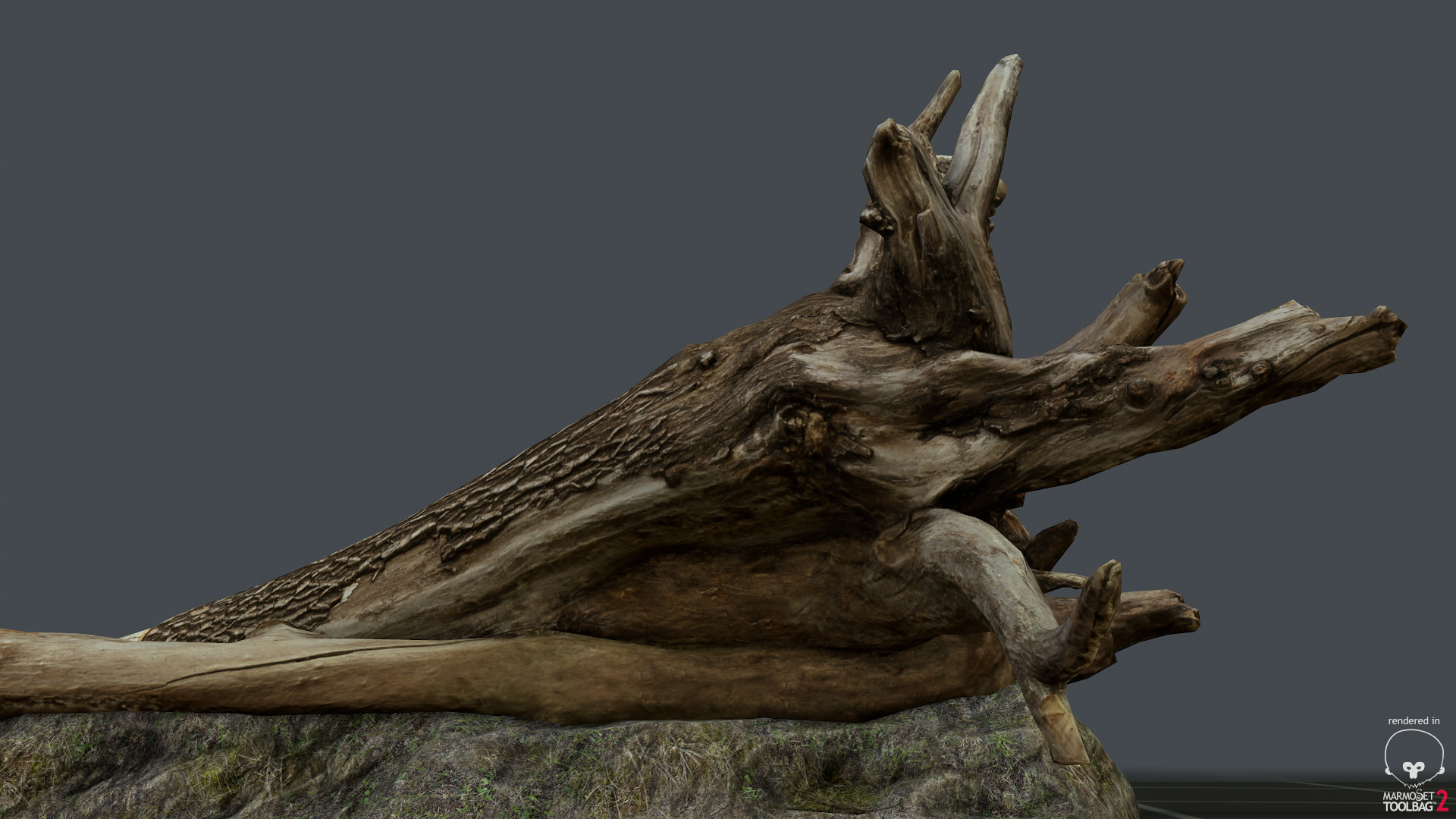 Denis Setevoy - Dead tree. Scan photogrammetry