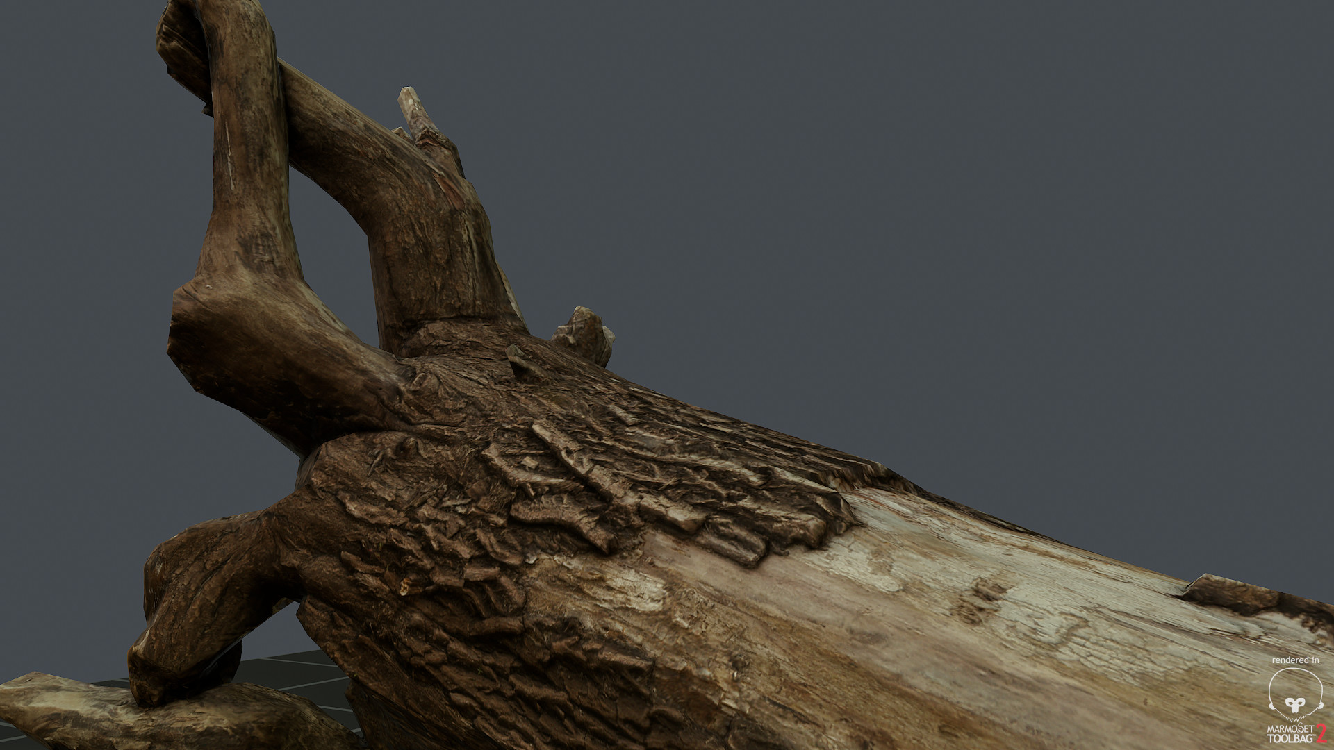 Denis Setevoy - Dead tree. Scan photogrammetry
