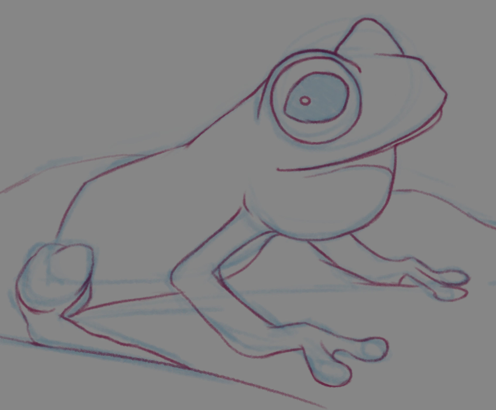 how to draw a glass frog easy
