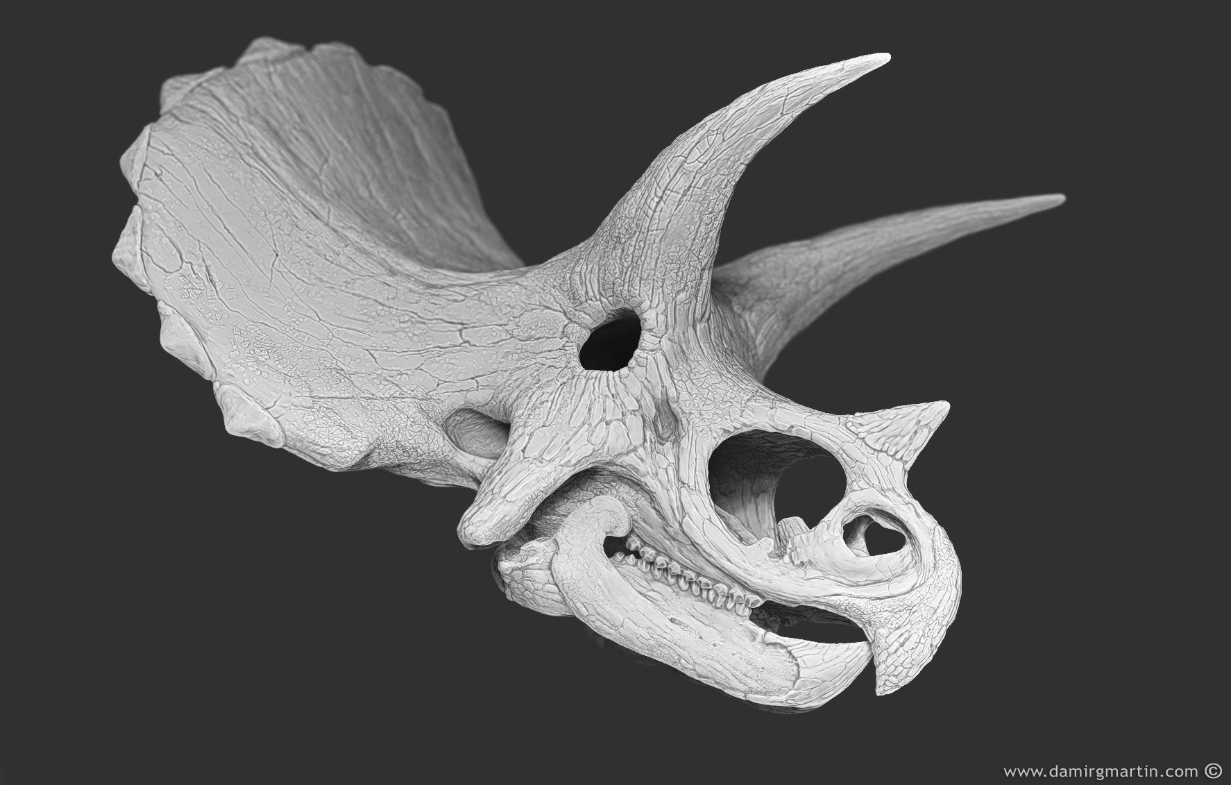 Damir G Martin - Super Predator