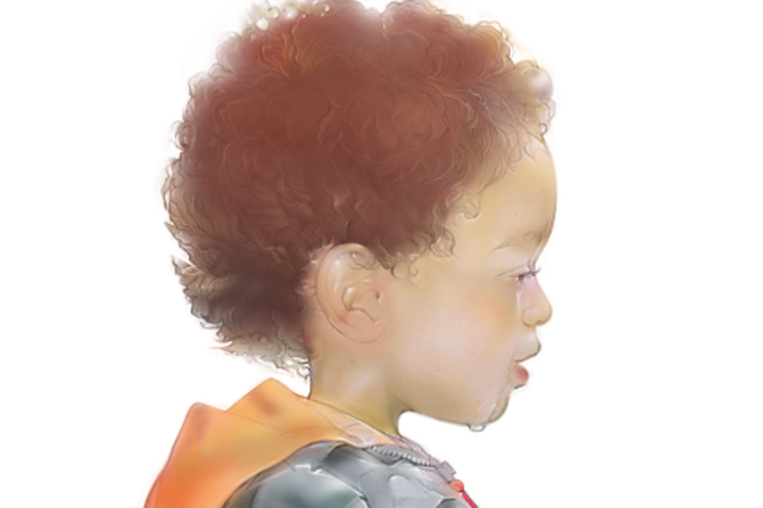 Jonathan Howard - Fly Bernard, fly!