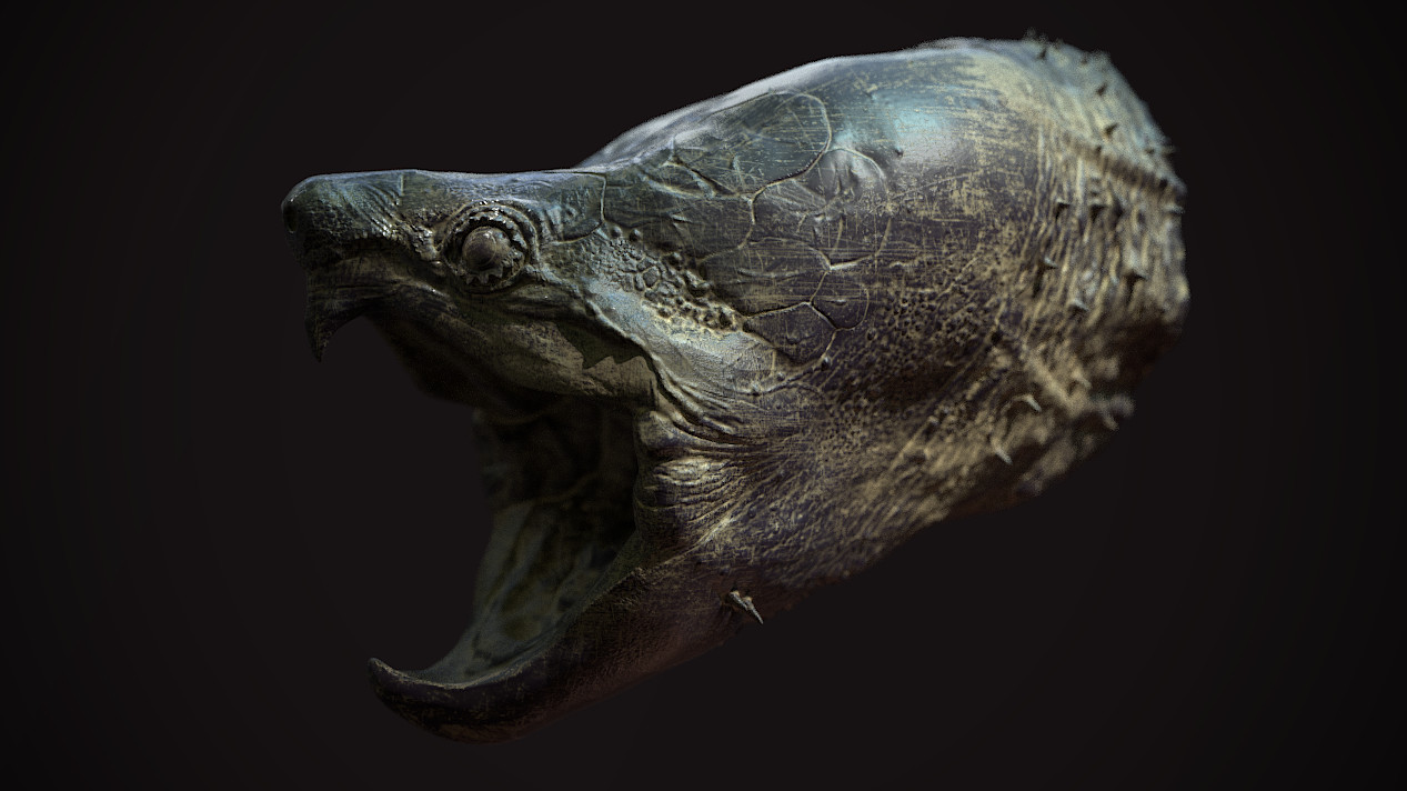 ArtStation - Alligator Snapping Turtle