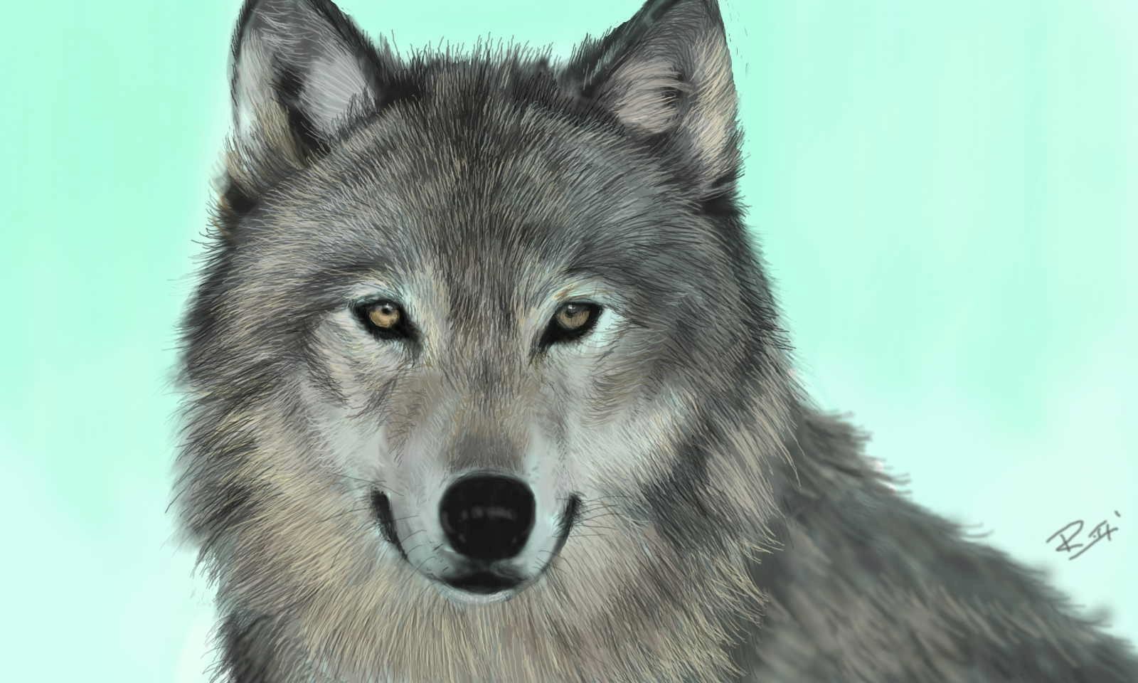 ArtStation - Grey Wolf