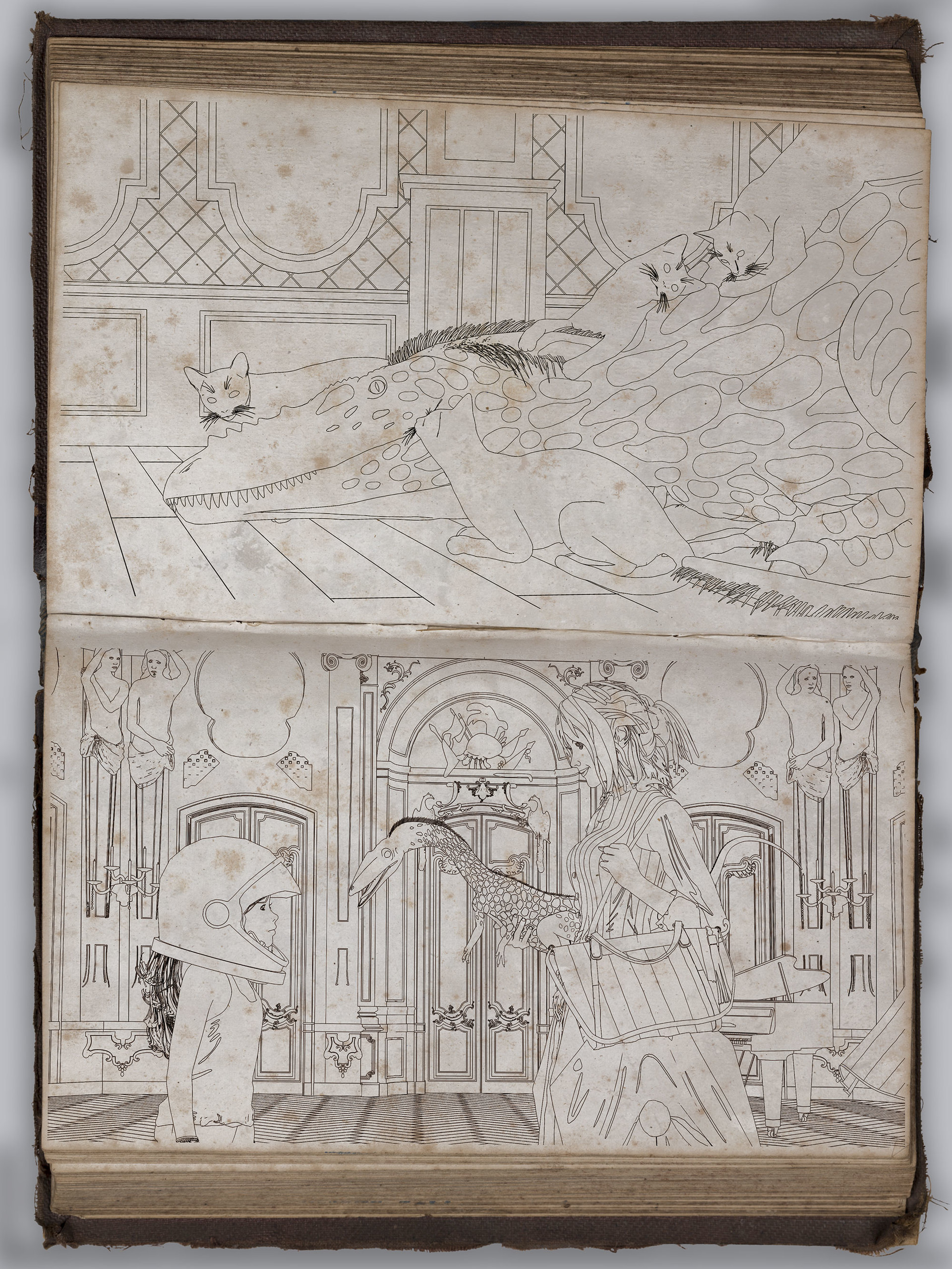 David Edwards - Bronwyns Note Book