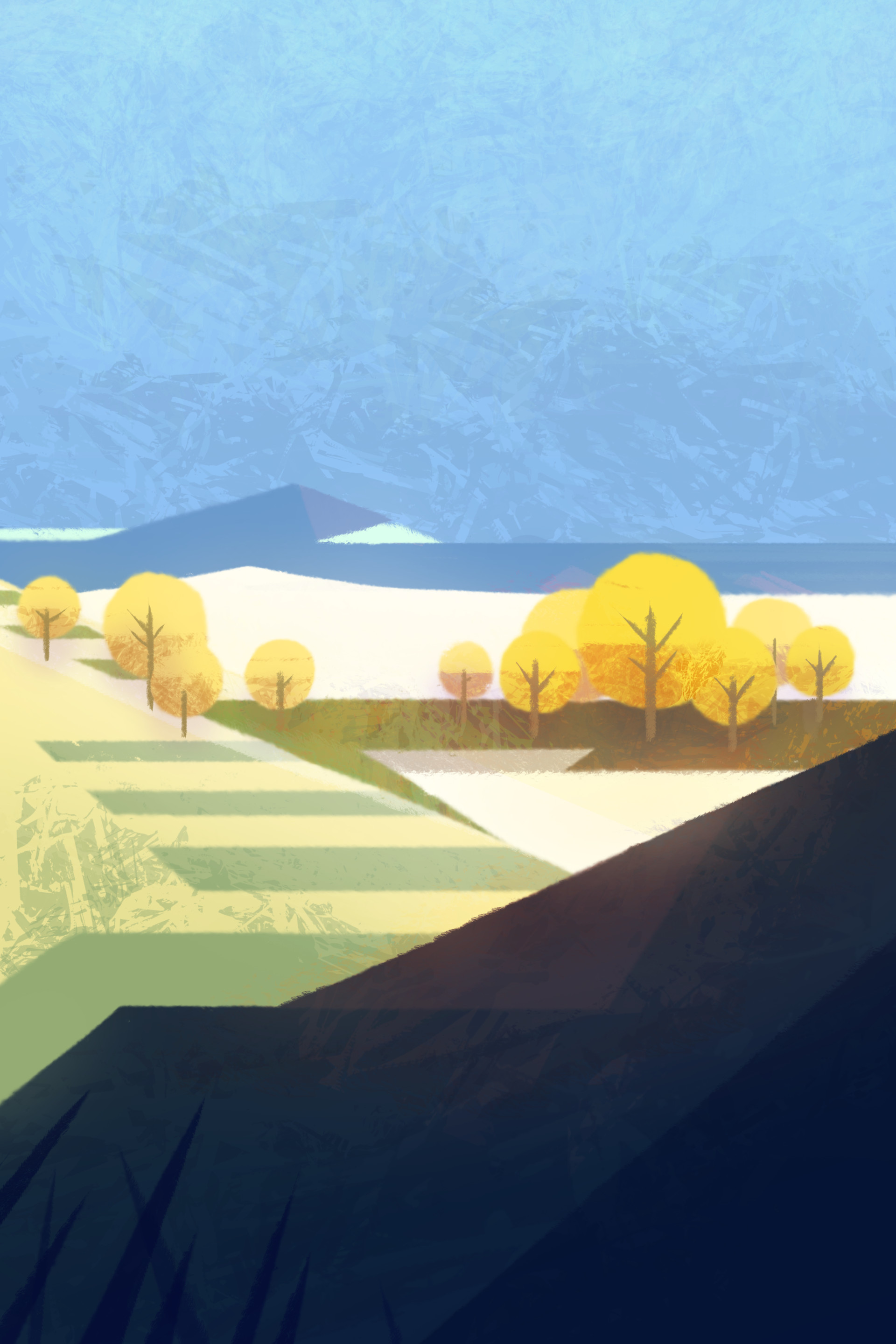 Denise Truong - Foreground-Shadow Midground-Light Studies