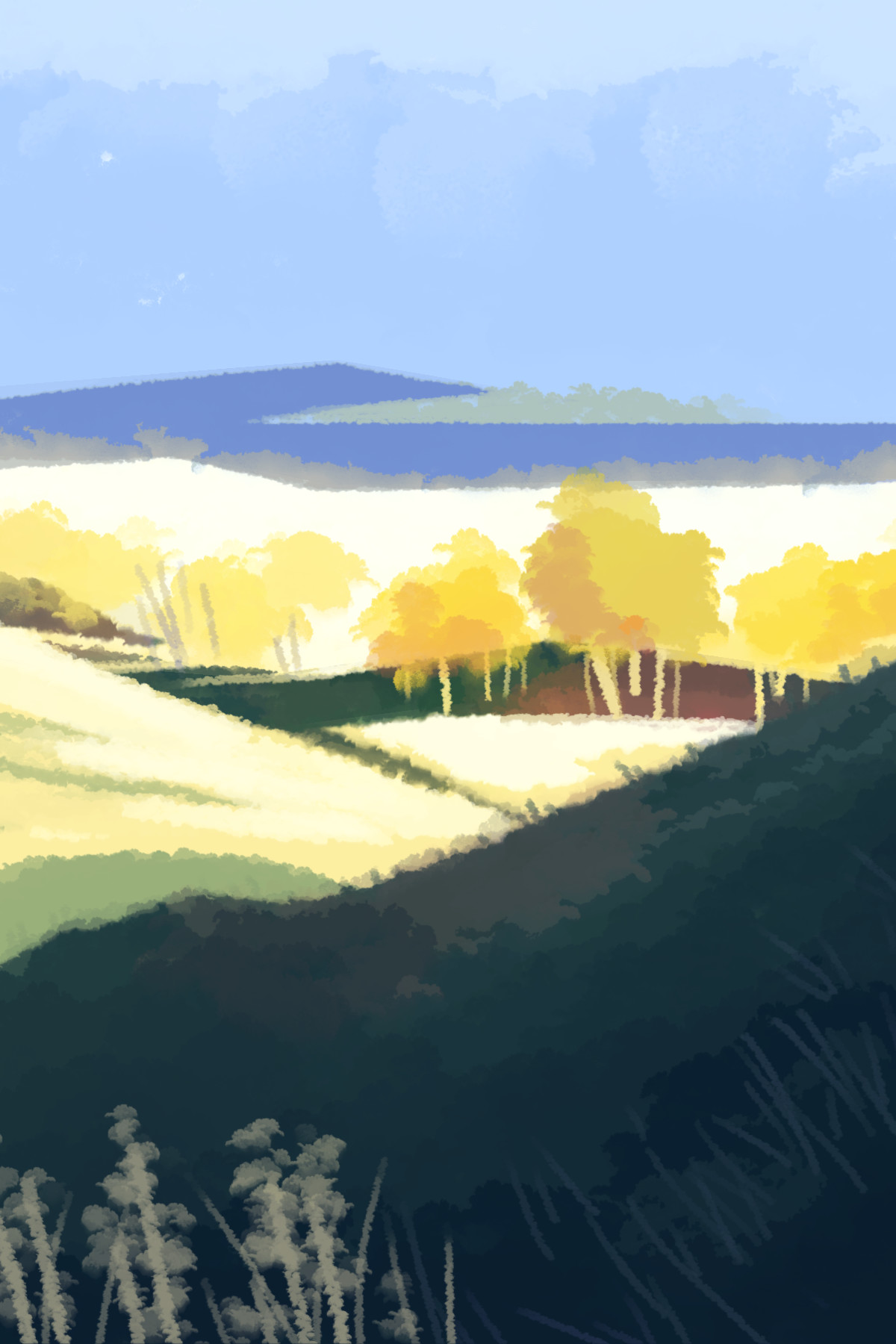 Denise Truong - Foreground-Shadow Midground-Light Studies