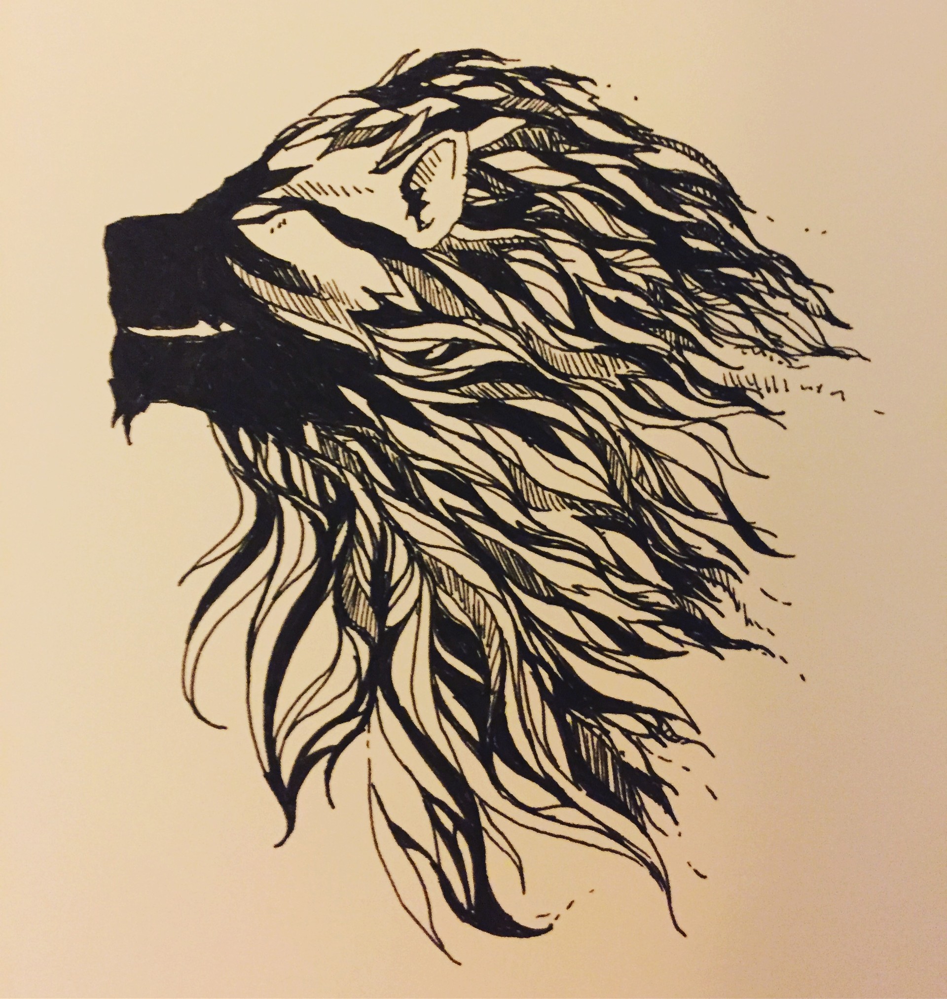 how to draw lion tattoo step by step