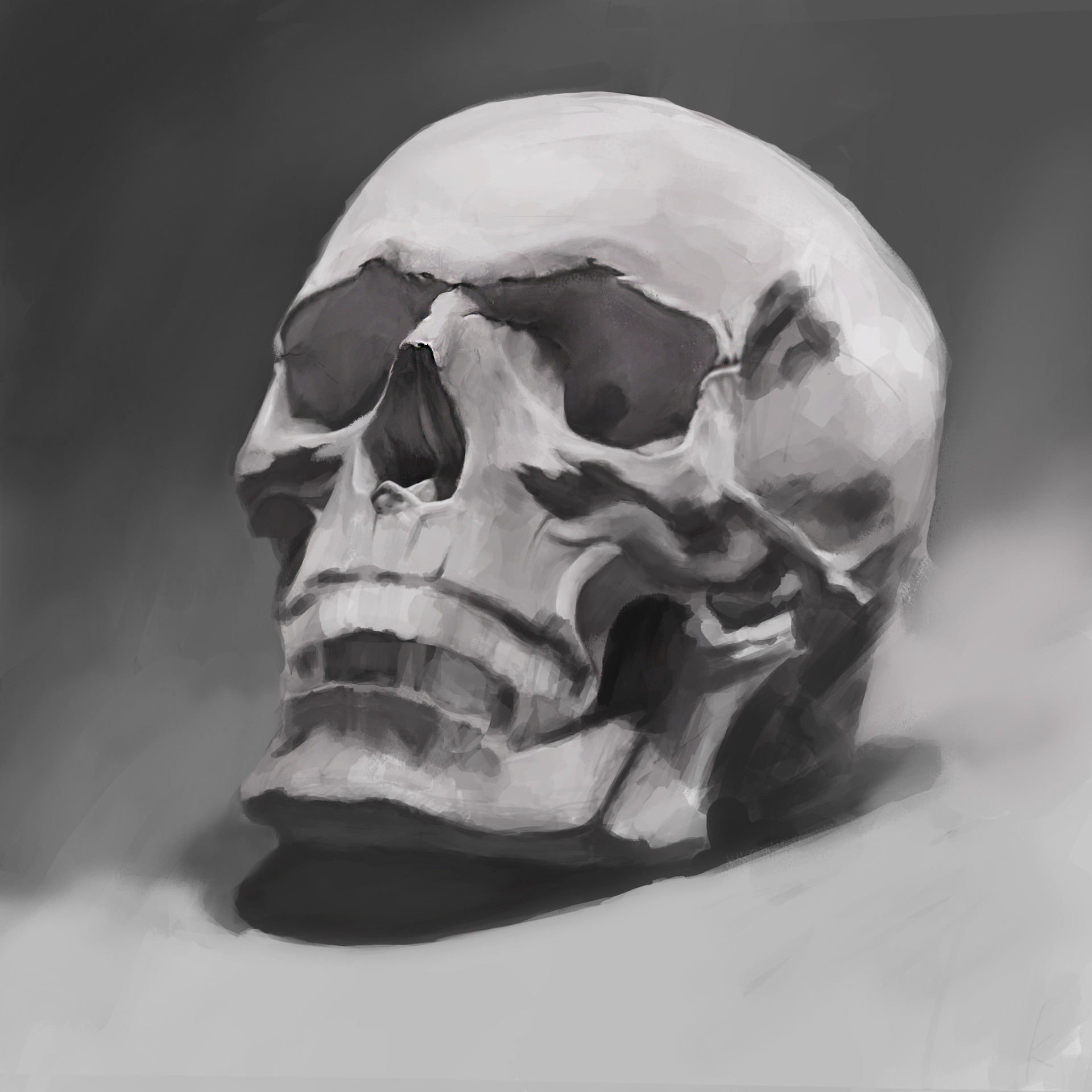 ArtStation - The skull