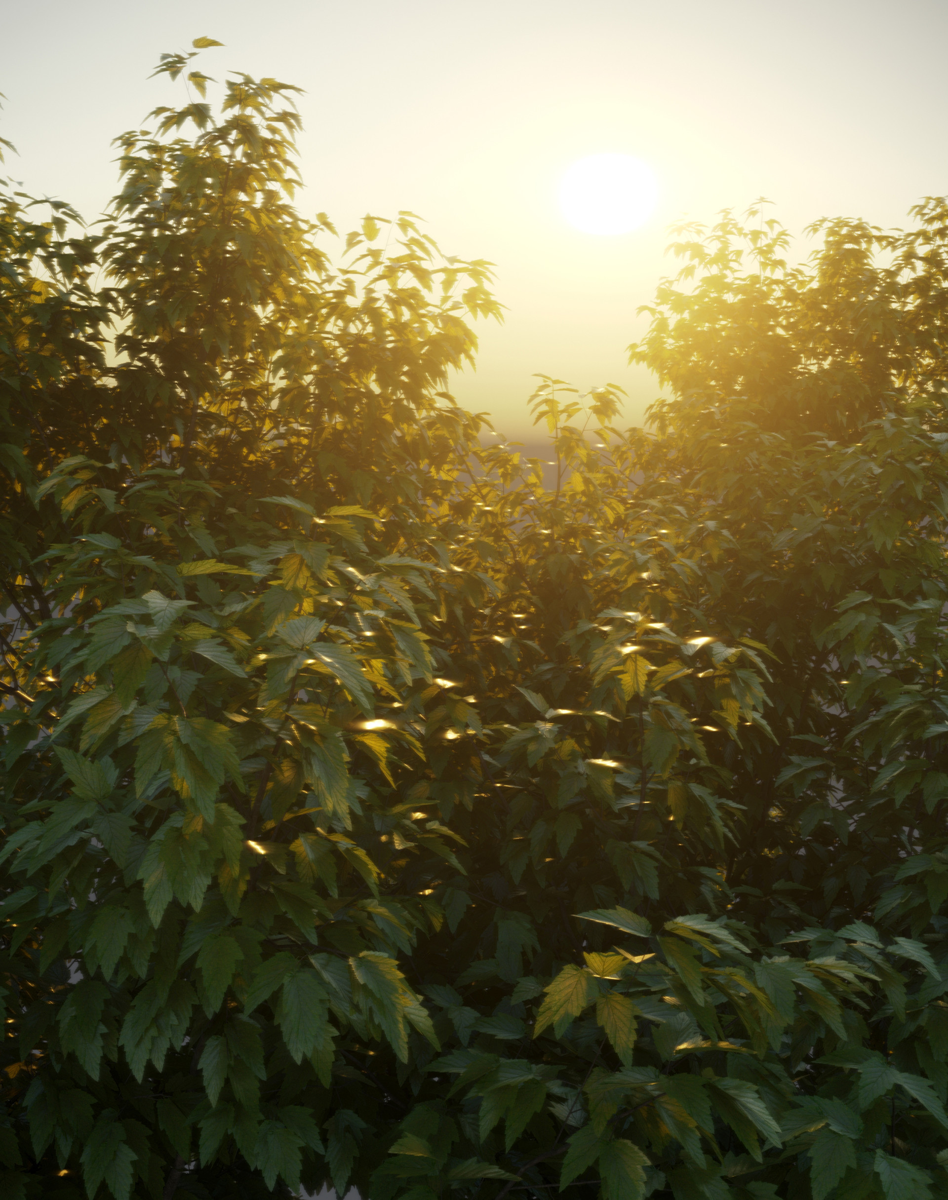 ArtStation - Photoreal Render Study- Forest Vegetation