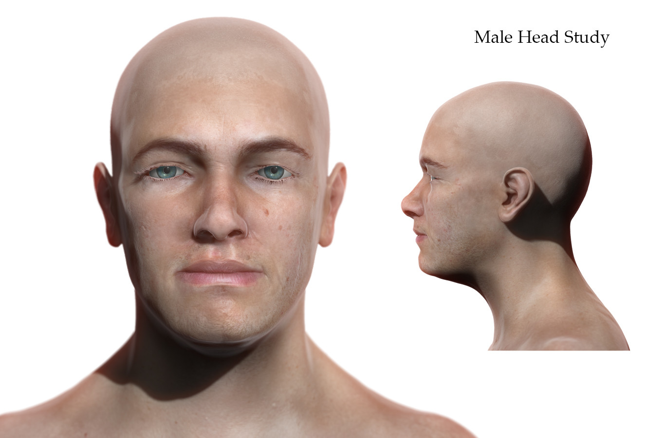 ArtStation - Male Head Study