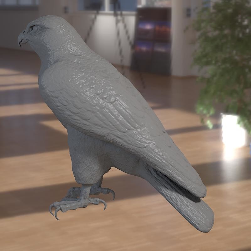 Stephan Plotnicov - 3D model falcon bird basic shape.