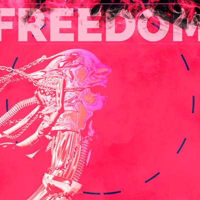 Steven Sheldon - Portfolio