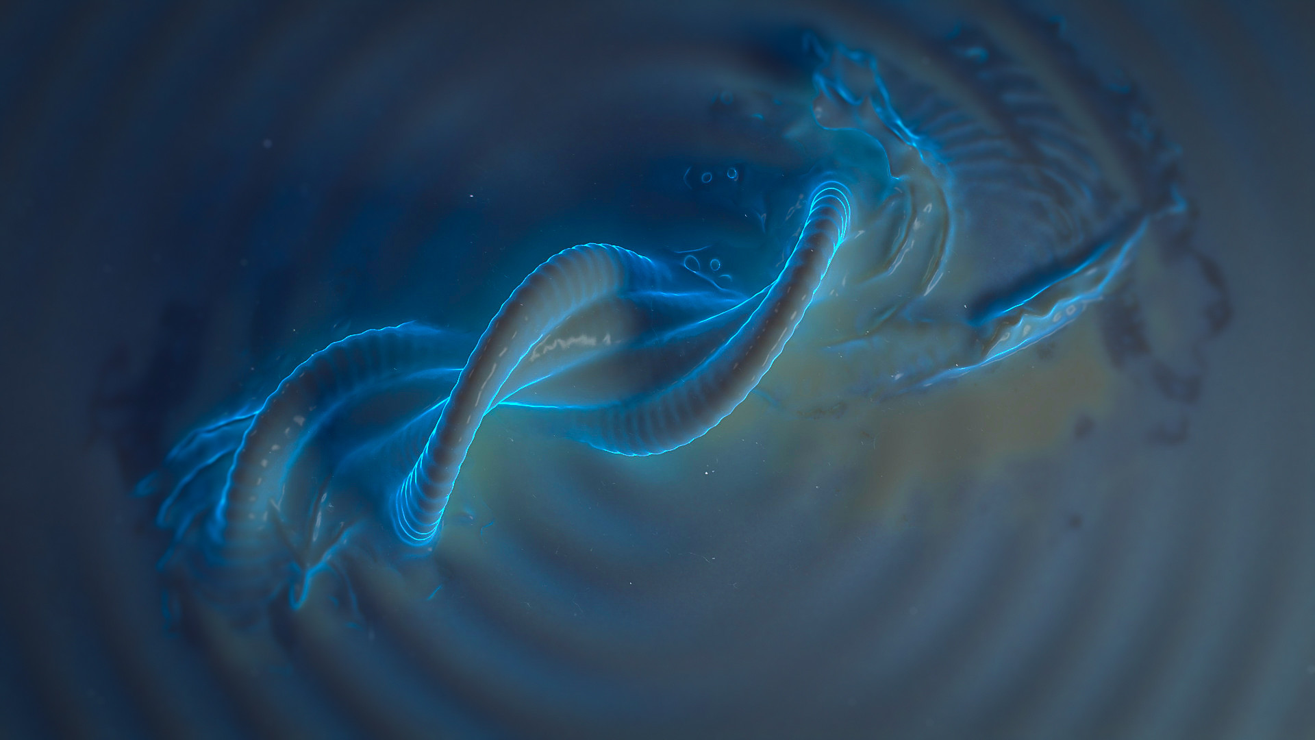 ArtStation - Teuthida