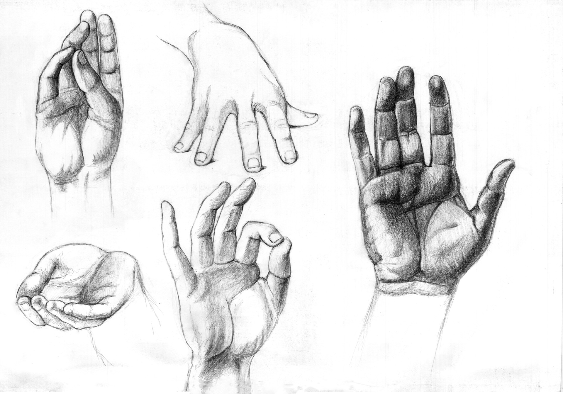 ArtStation - Hands study