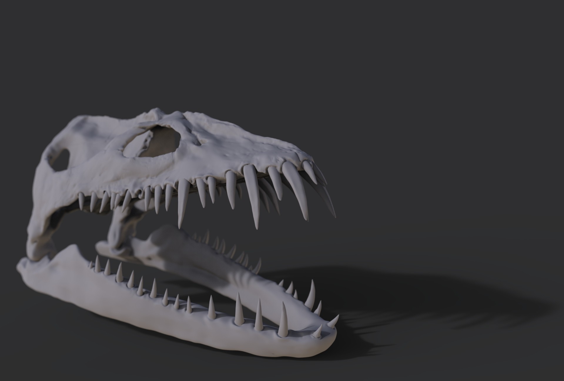 Jesse Pruitt - Natural and Unnatural History