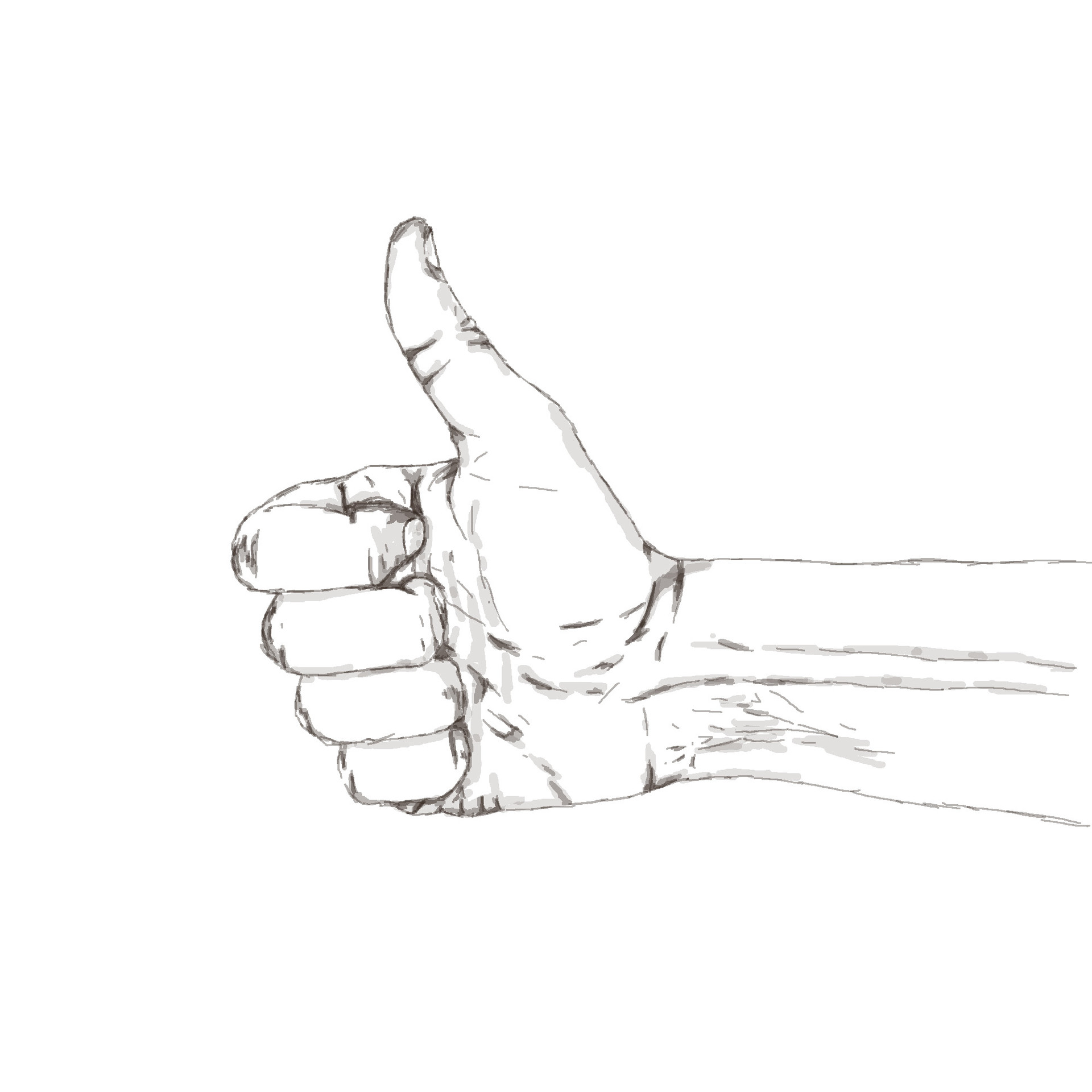 ArtStation - Hand Study