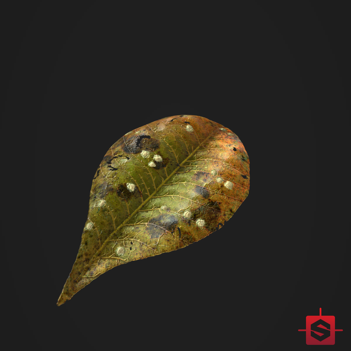 Jorge Corona - Procedural Leaf Generator