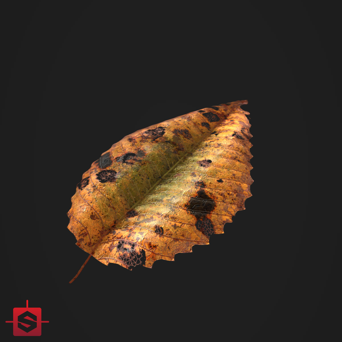 Jorge Corona - Procedural Leaf Generator