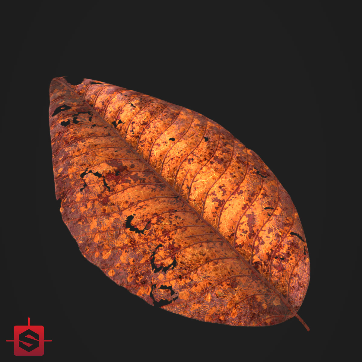 ArtStation - Procedural Leaf Generator