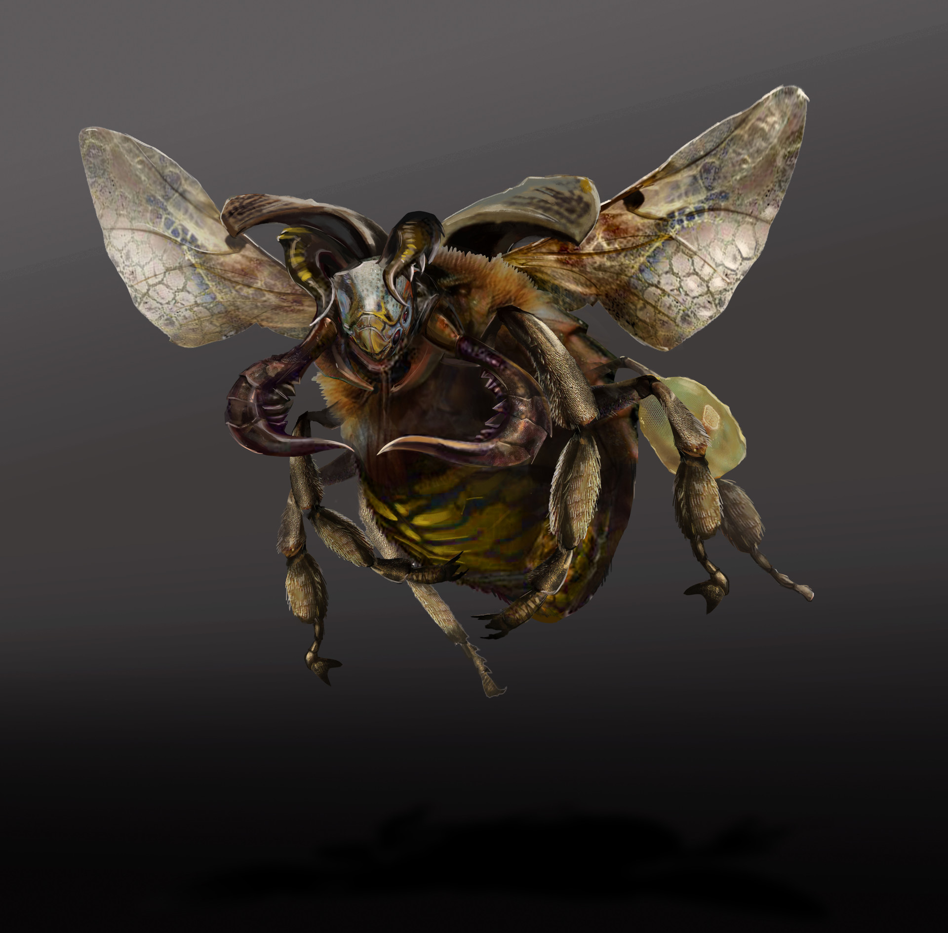 ArtStation - Bomber Bug