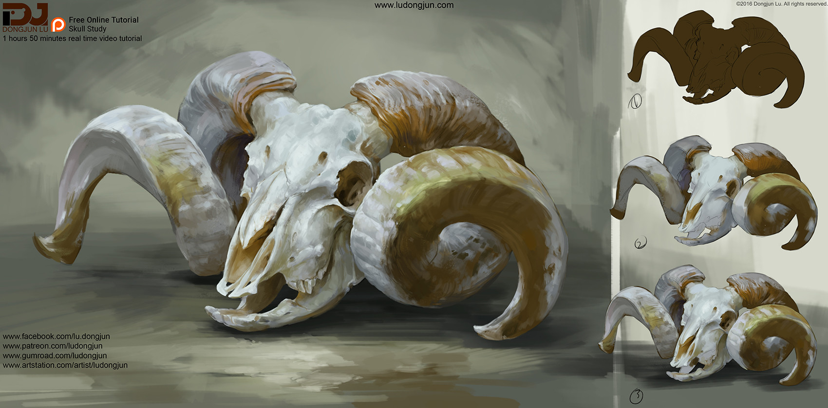 ArtStation - Skull Study