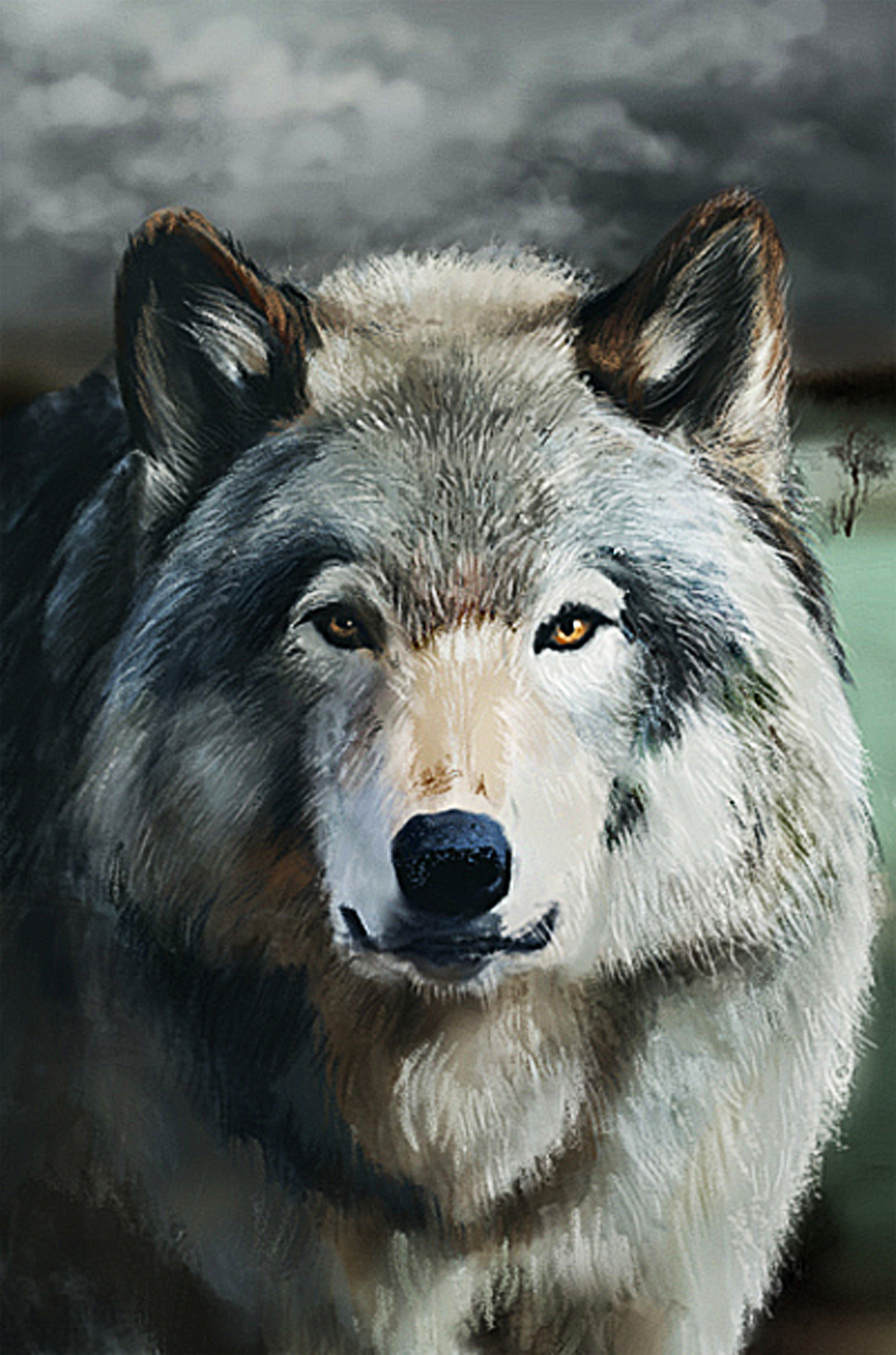 ArtStation - Wolf