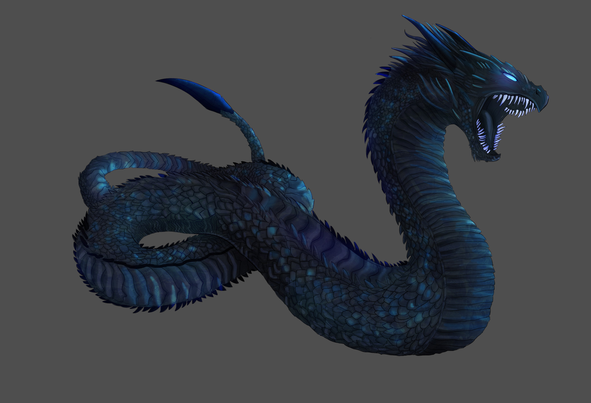 blue basilisk