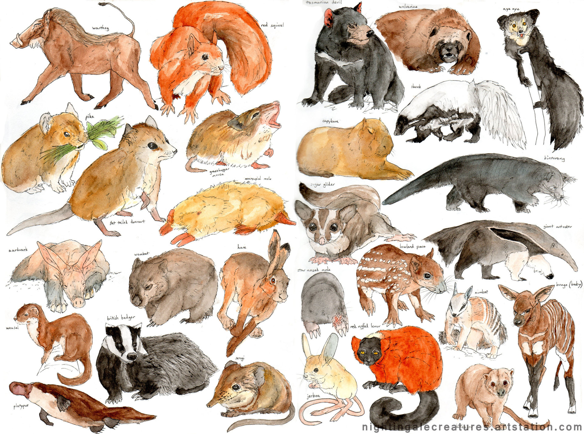 ArtStation - Mammal Studies