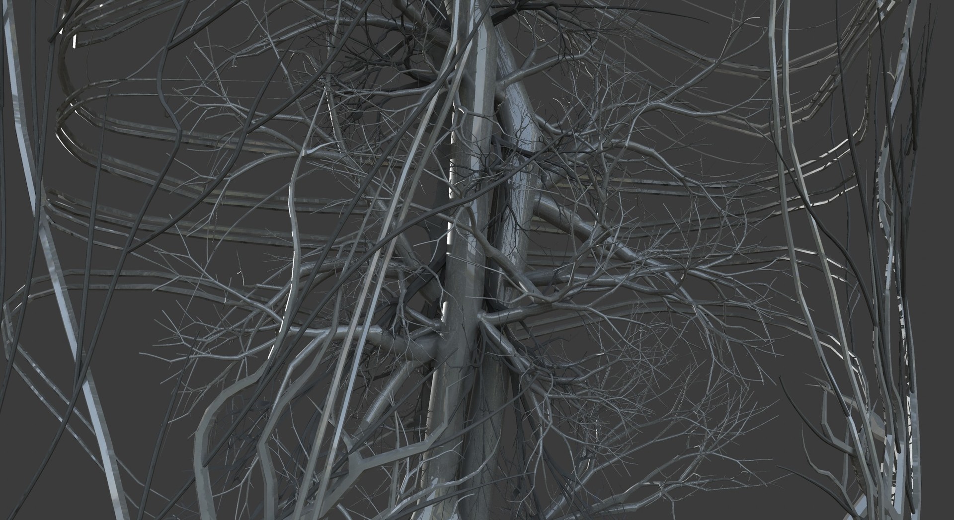 David Bittorf School - Human Anatomy Project