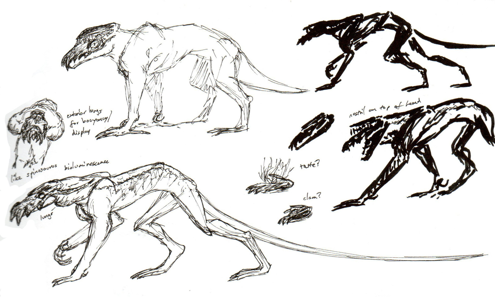 jackal monster hunter