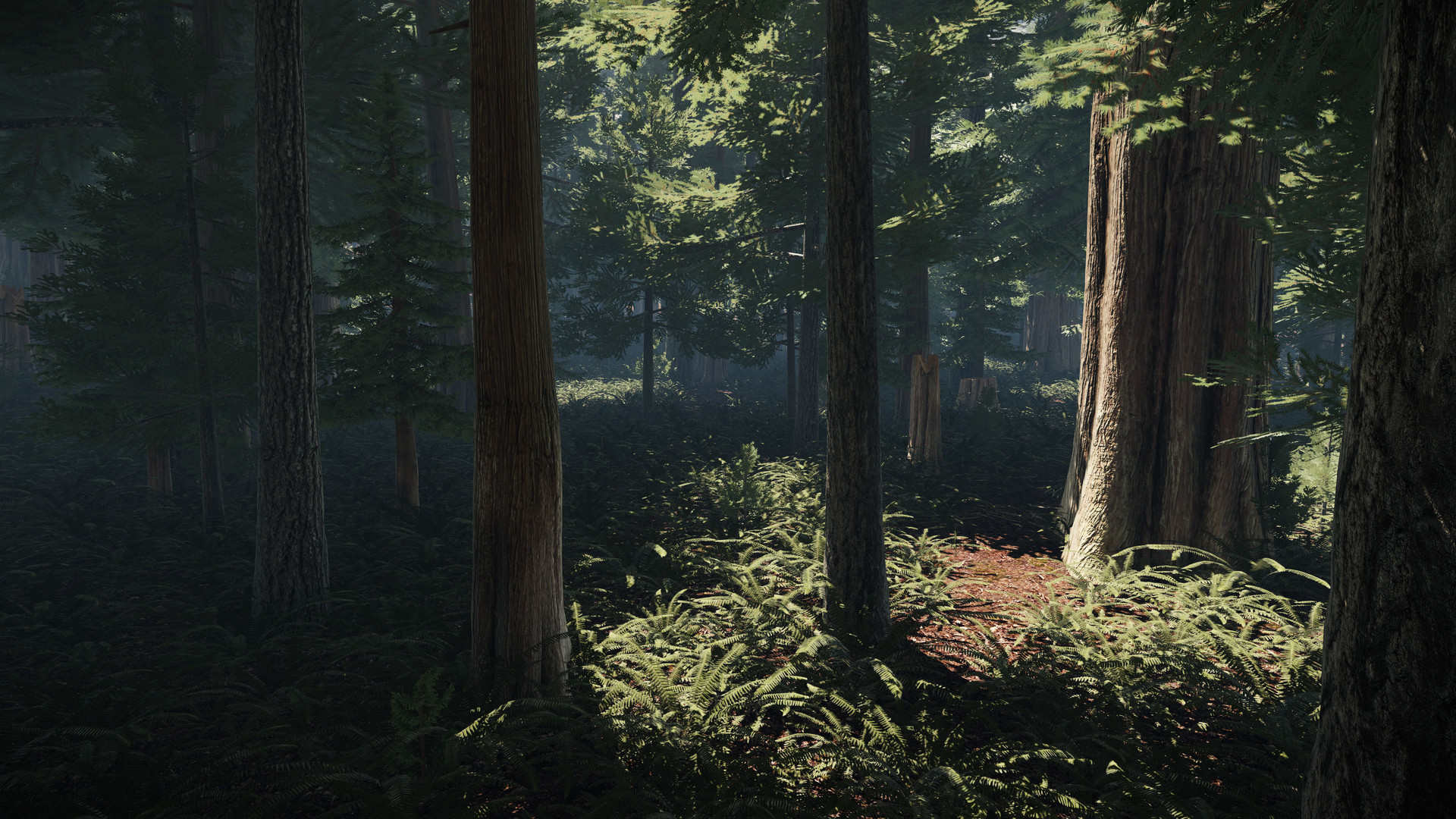 ArtStation - Forest Study #1