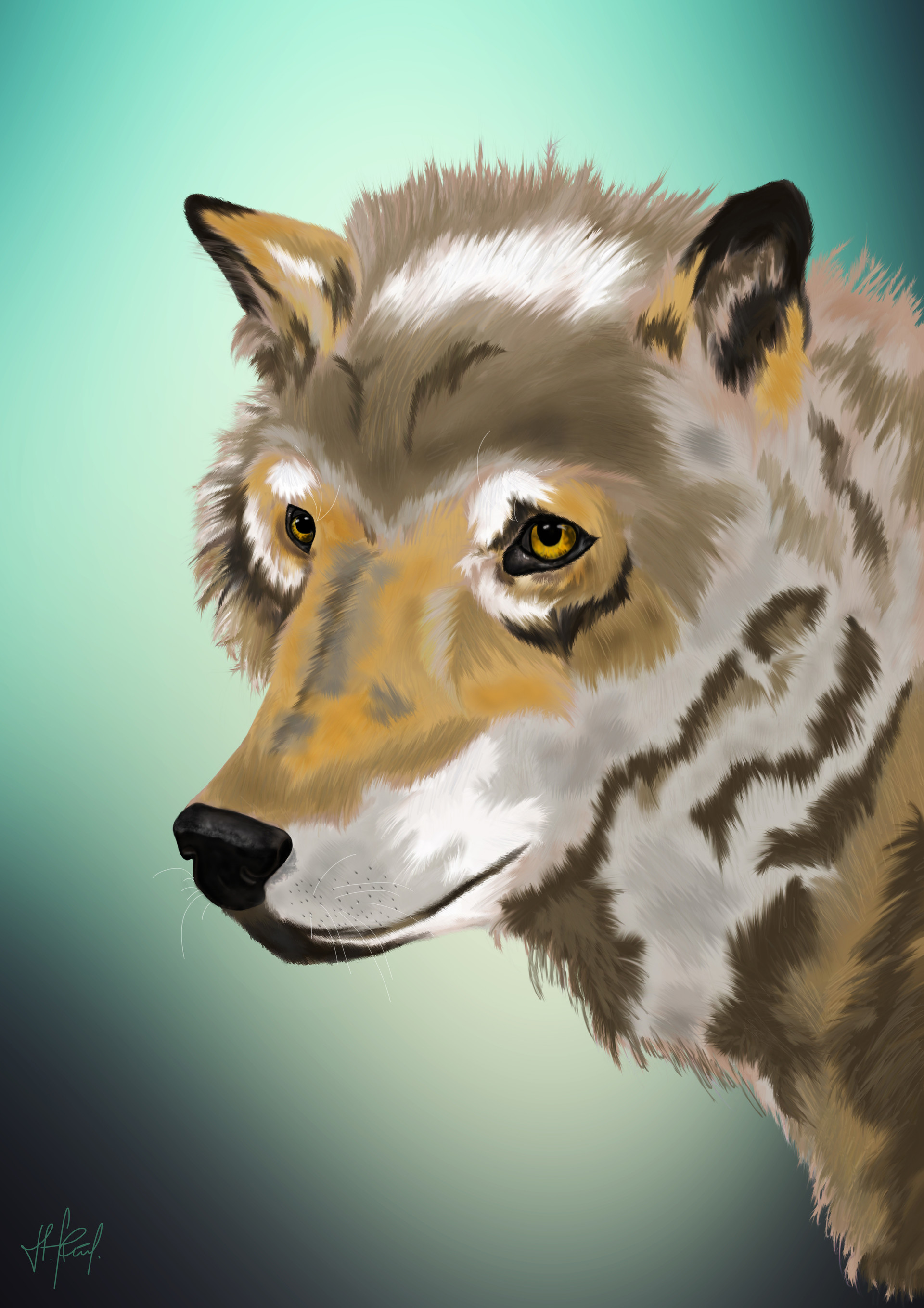 ArtStation - Digital wolf drawing