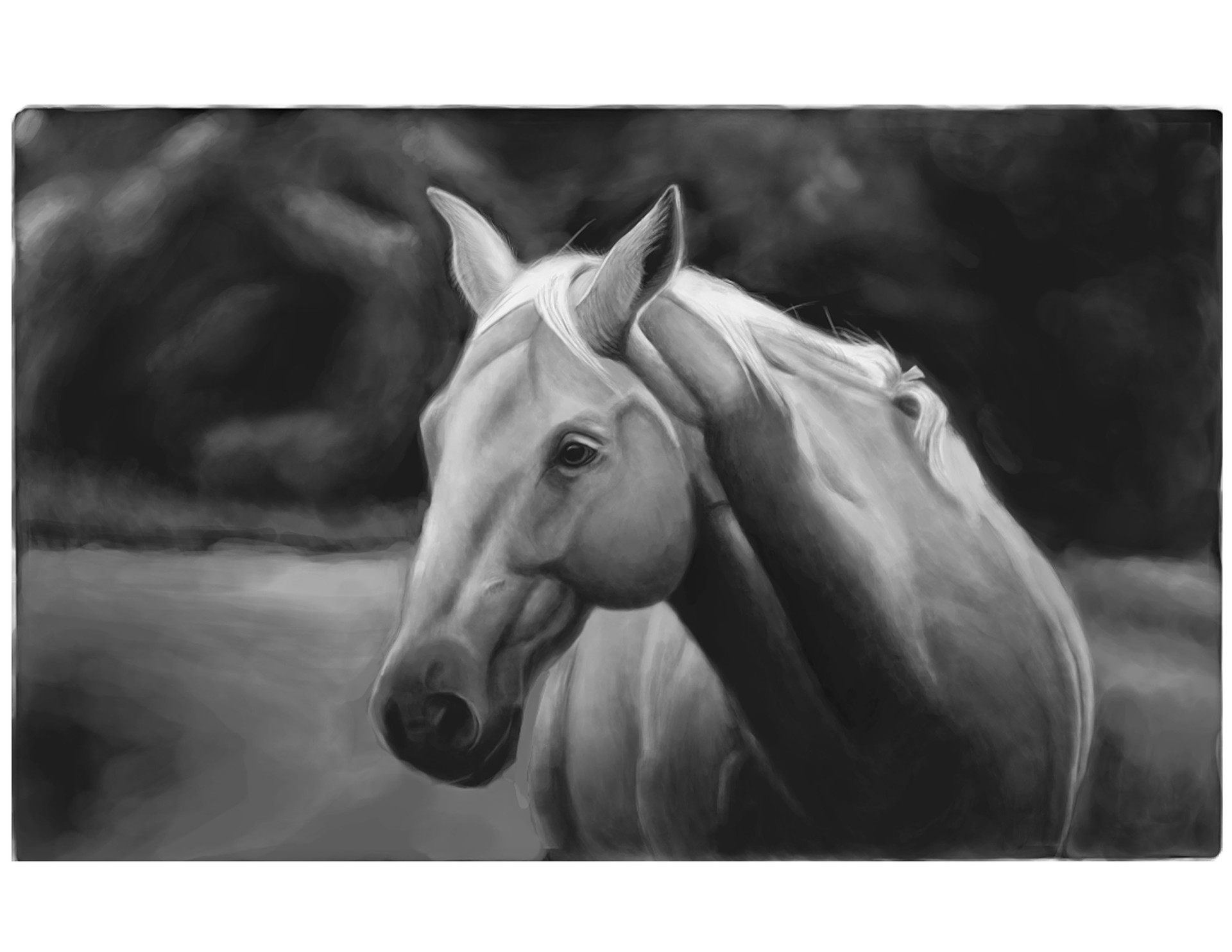 ArtStation - Horse portrait