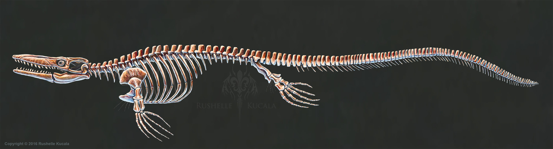 tylosaurus skeletal